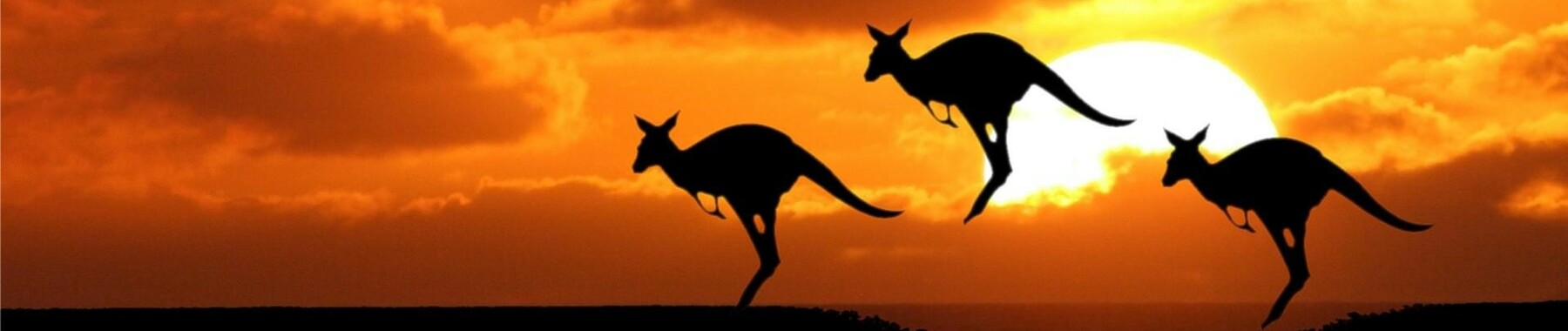 Assignment 1: Tabular Data | SEML31